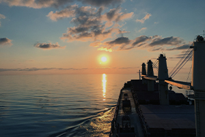 Brulpadda and Luiperd could spark an energy transformation in South ...